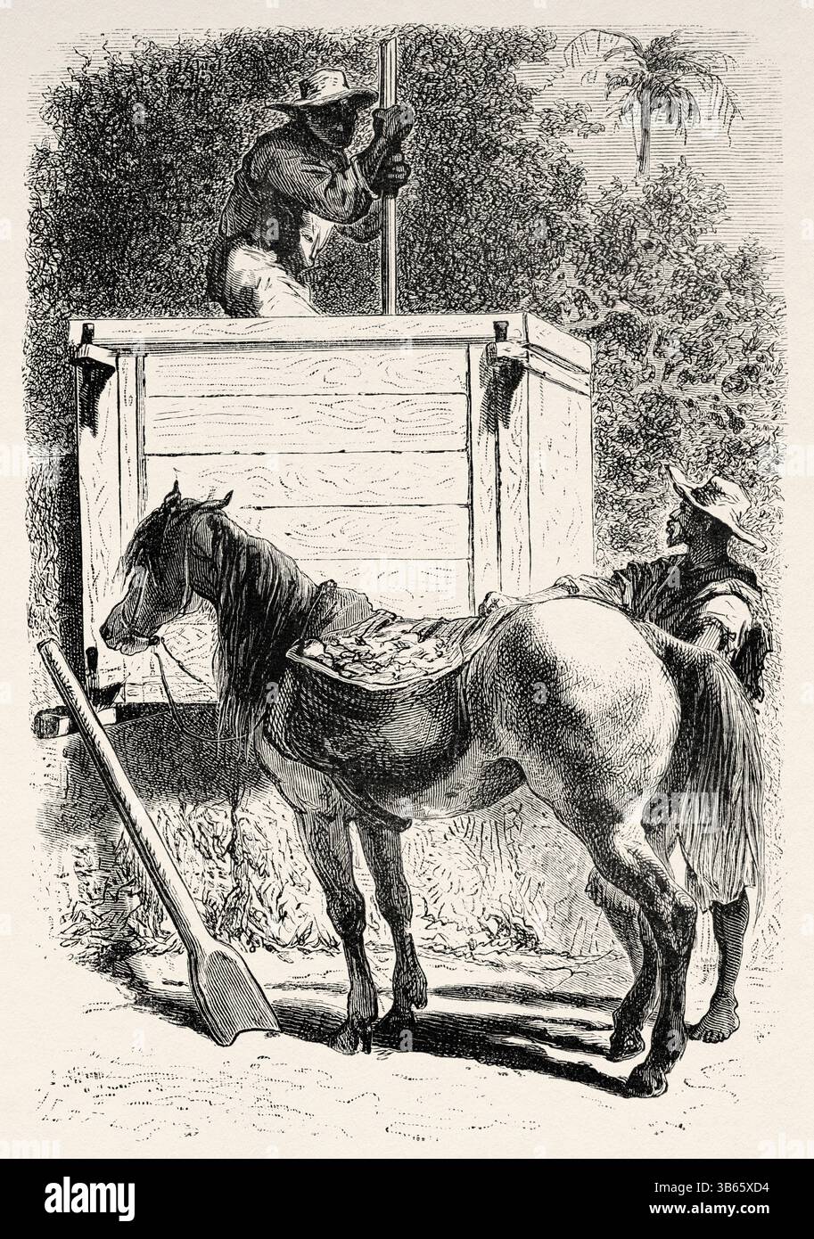 Construction of a Wall in Medellin, Colombia. South America. Drawing by ...