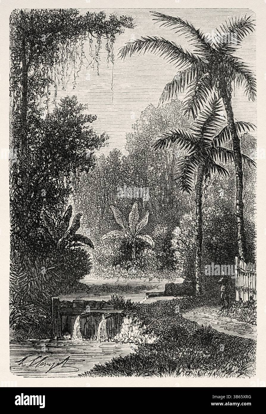 Hot springs near a lake in Tondano. Indonesia, Asia. Drawing by Hubert ...