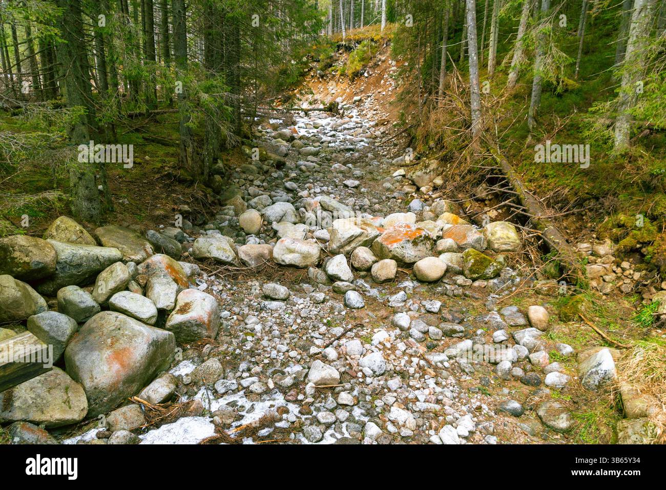 Rocky bottom of a mountain river without water. Dry river Stock Photo ...