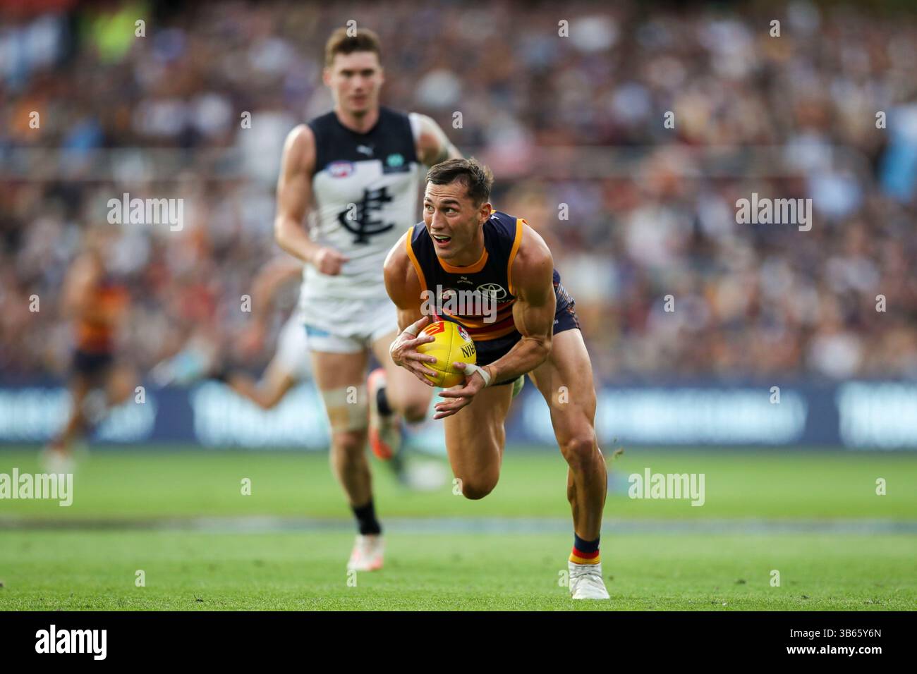 Adelaide, Australia. 03rd May, 2025. Isaac Cumming of the Crows during ...