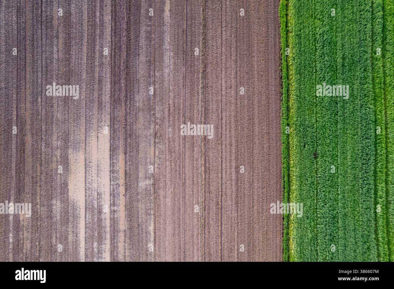 top down view of cultivated land with different crops or stages Stock ...