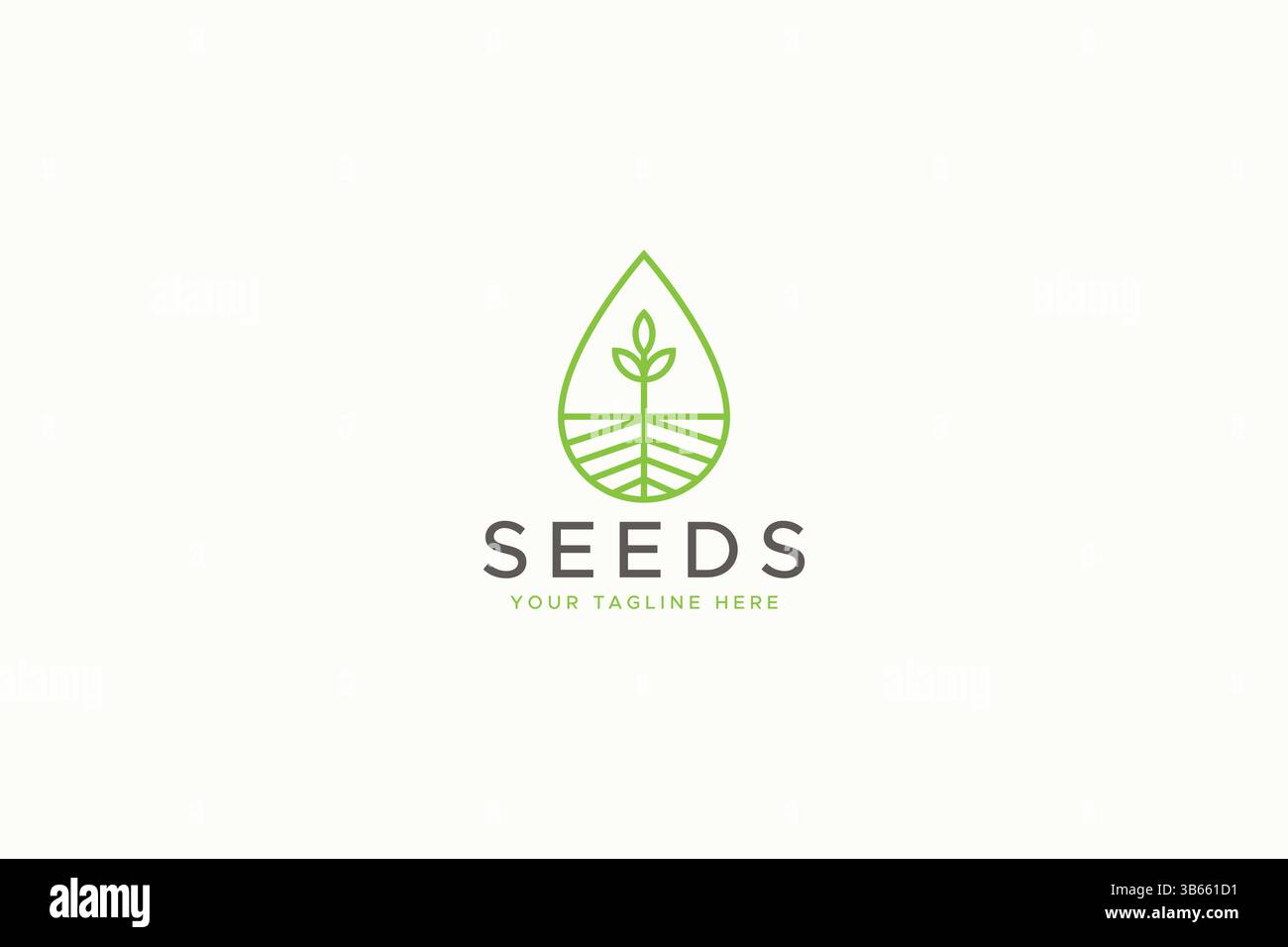Seed Plant Greenery Nature Agriculture Botanic Business Environment ...