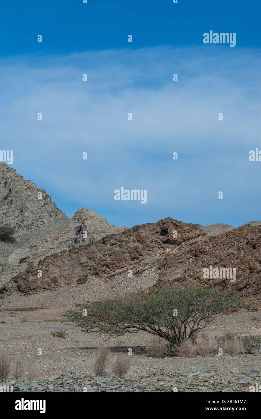 Panoramic dune landscape between hi-res stock photography and images ...