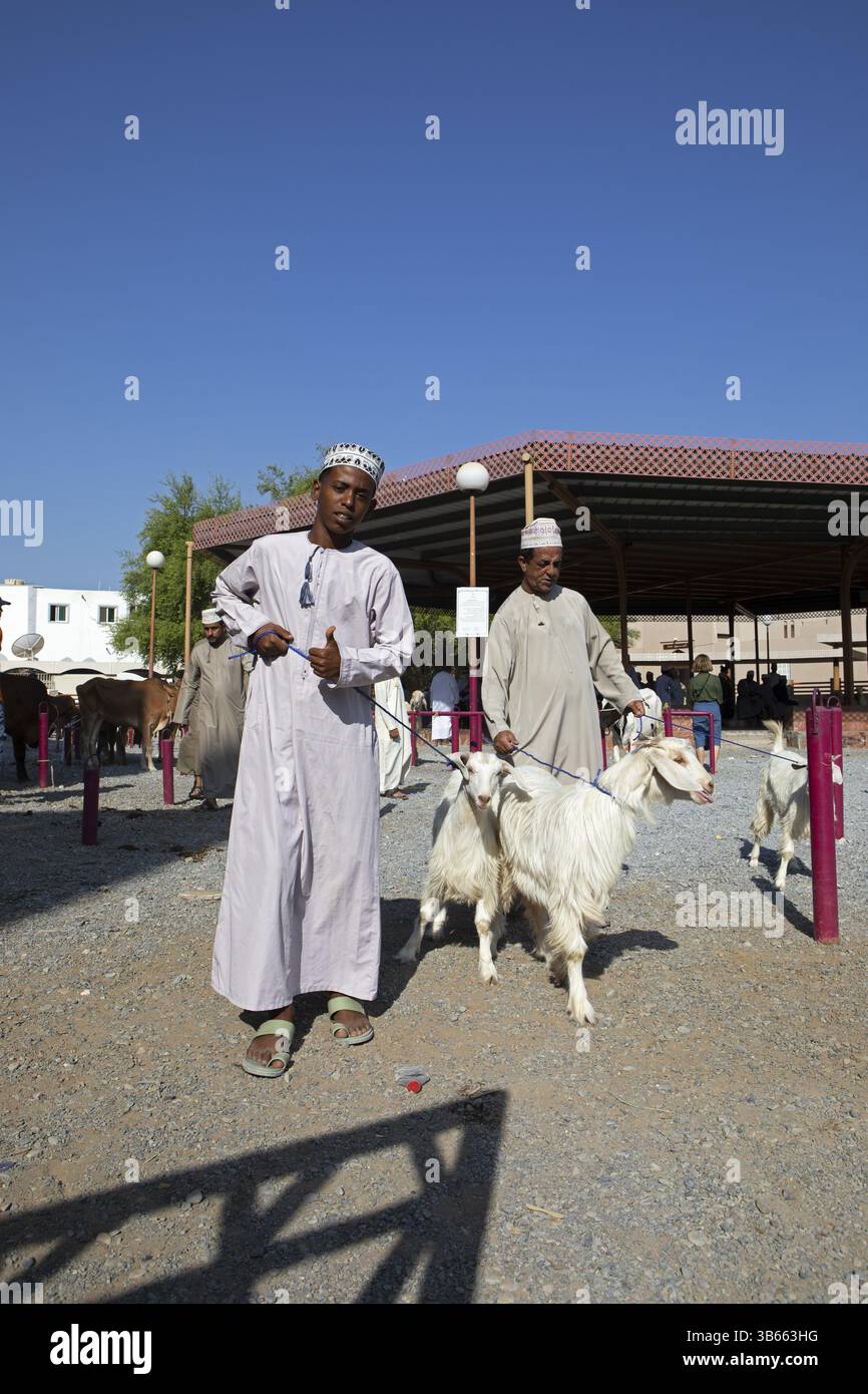 Omani men in traditional dress with goats at the cattle market in the ...