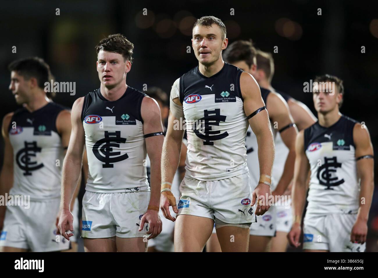 Adelaide, Australia. 03rd May, 2025. Sam Walsh and Patrick Cripps of ...