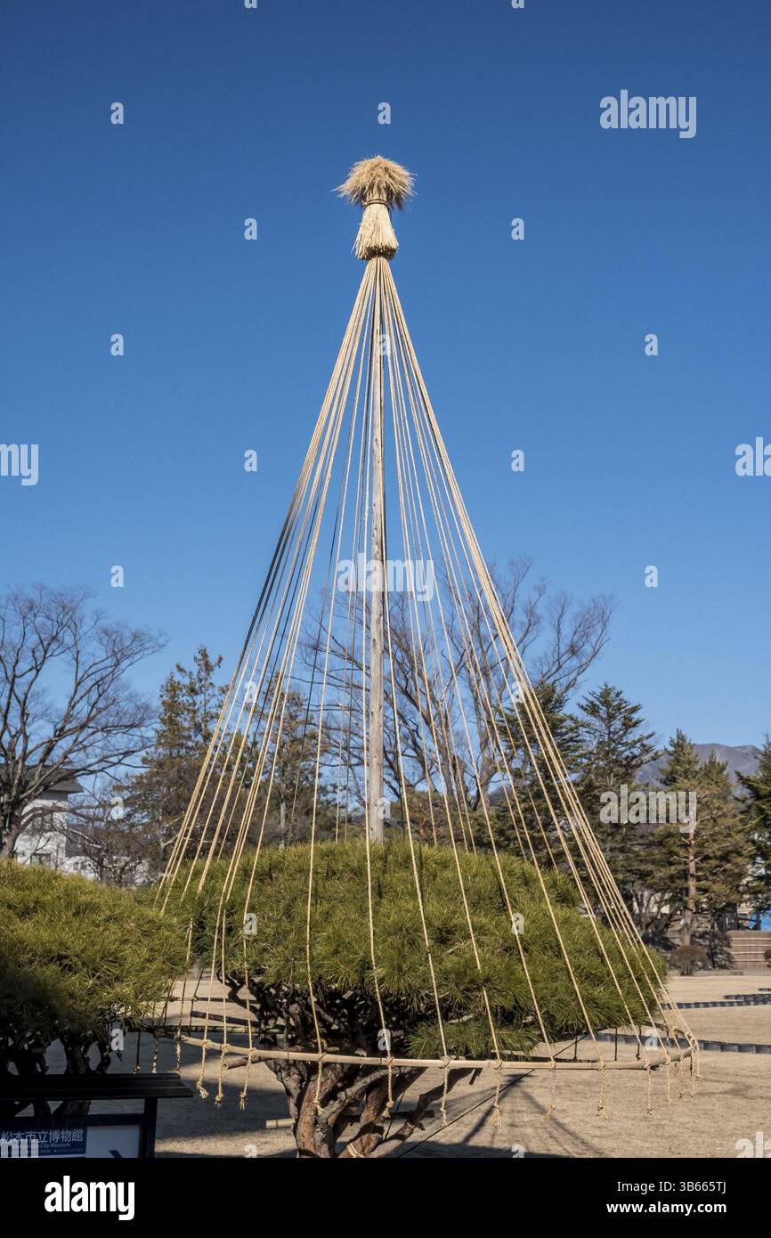 Environmentally friendly japan hi-res stock photography and images - Alamy