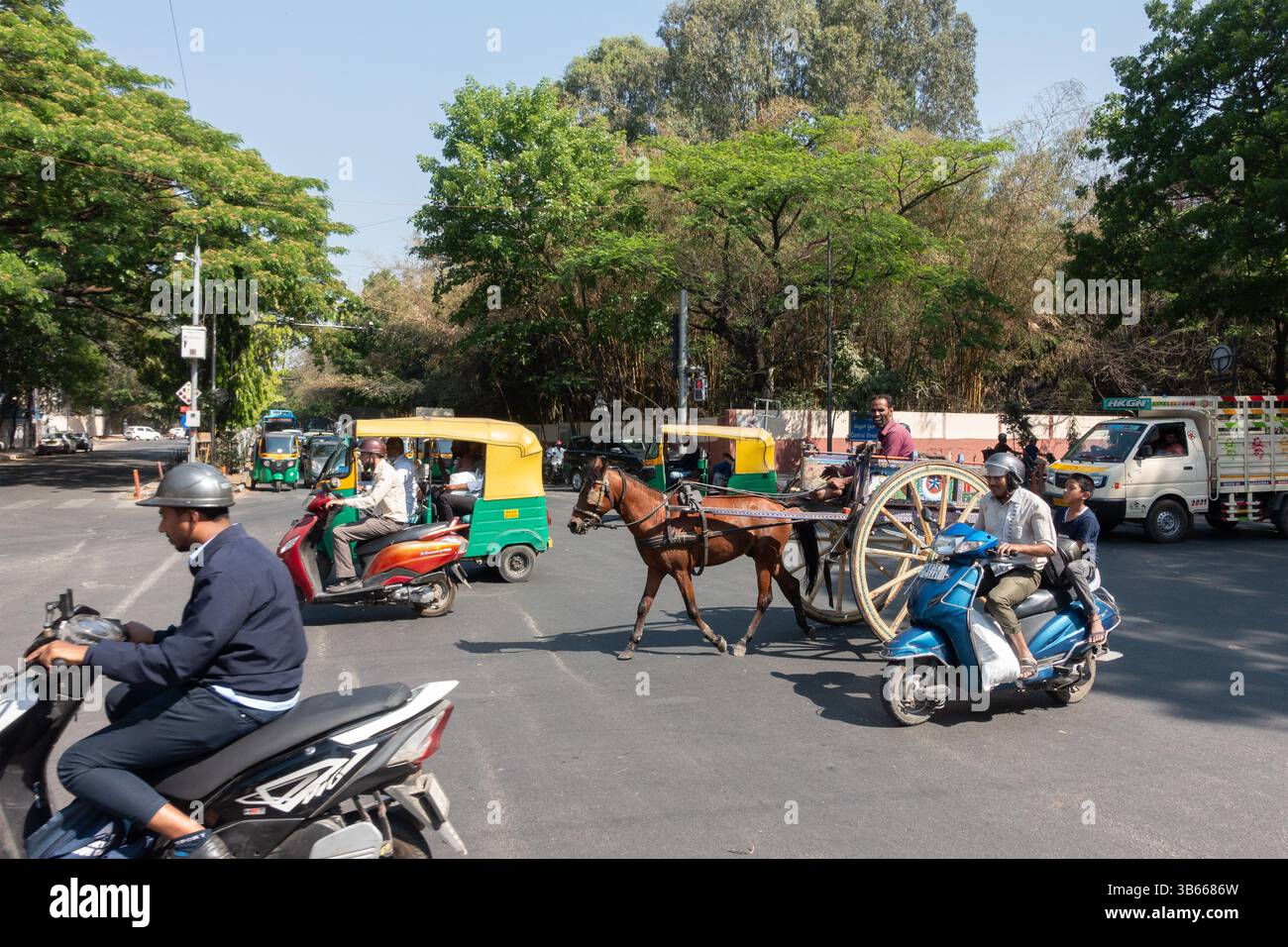 Horse-drawn carriage crossing a main intersection in Bangalore ...