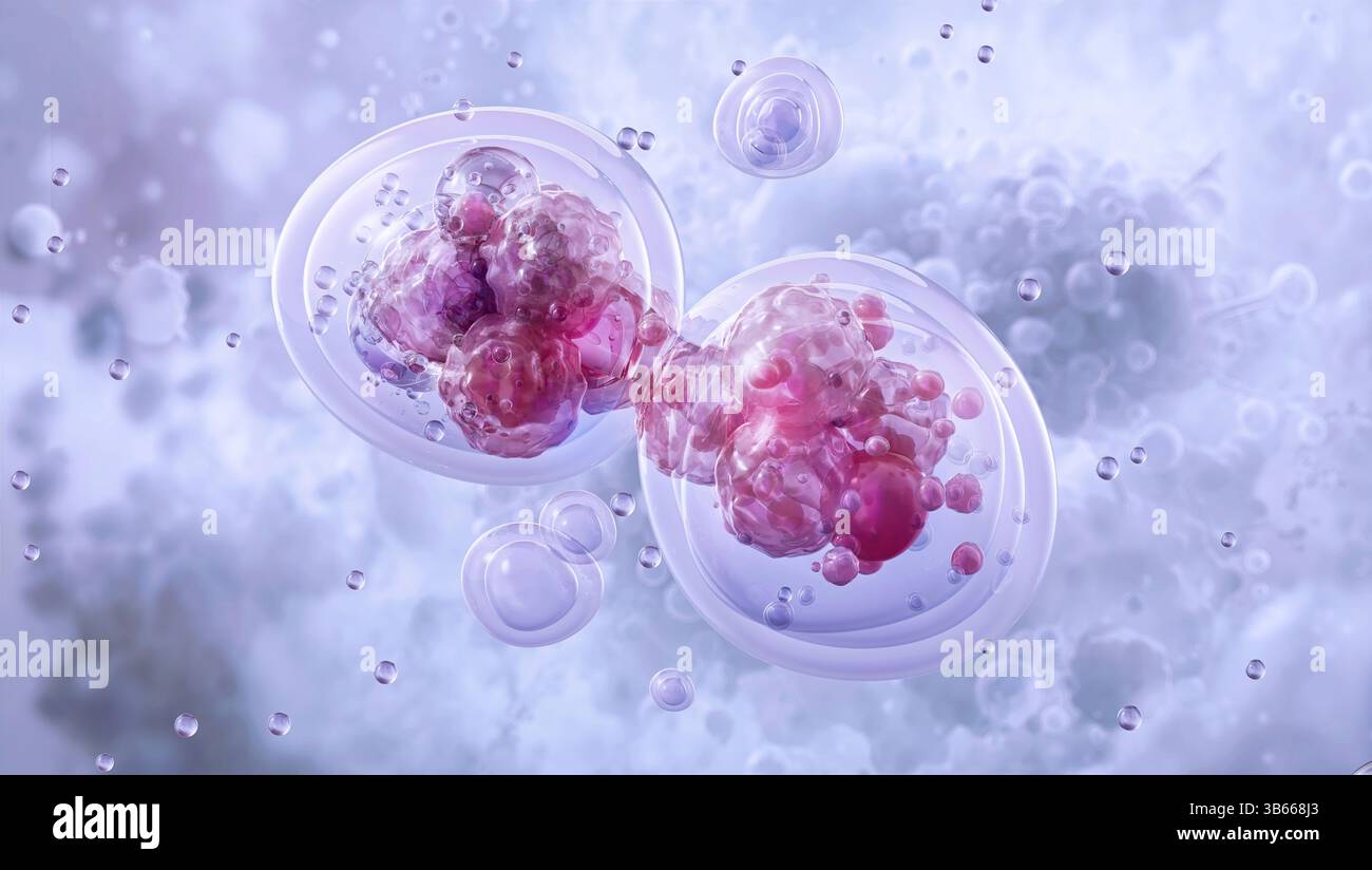 Illustration of cytokinesis (cell division). Division of a cell's ...