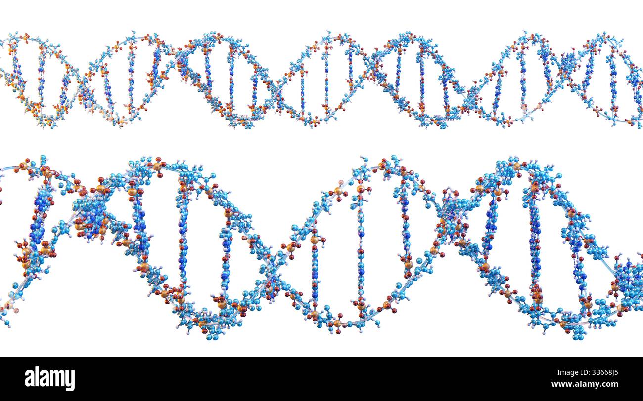 Illustration of DNA (deoxyribonucleic acid) molecules Stock Photo - Alamy