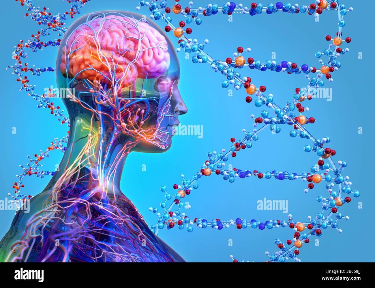 Human genome, conceptual illustration Stock Photo - Alamy