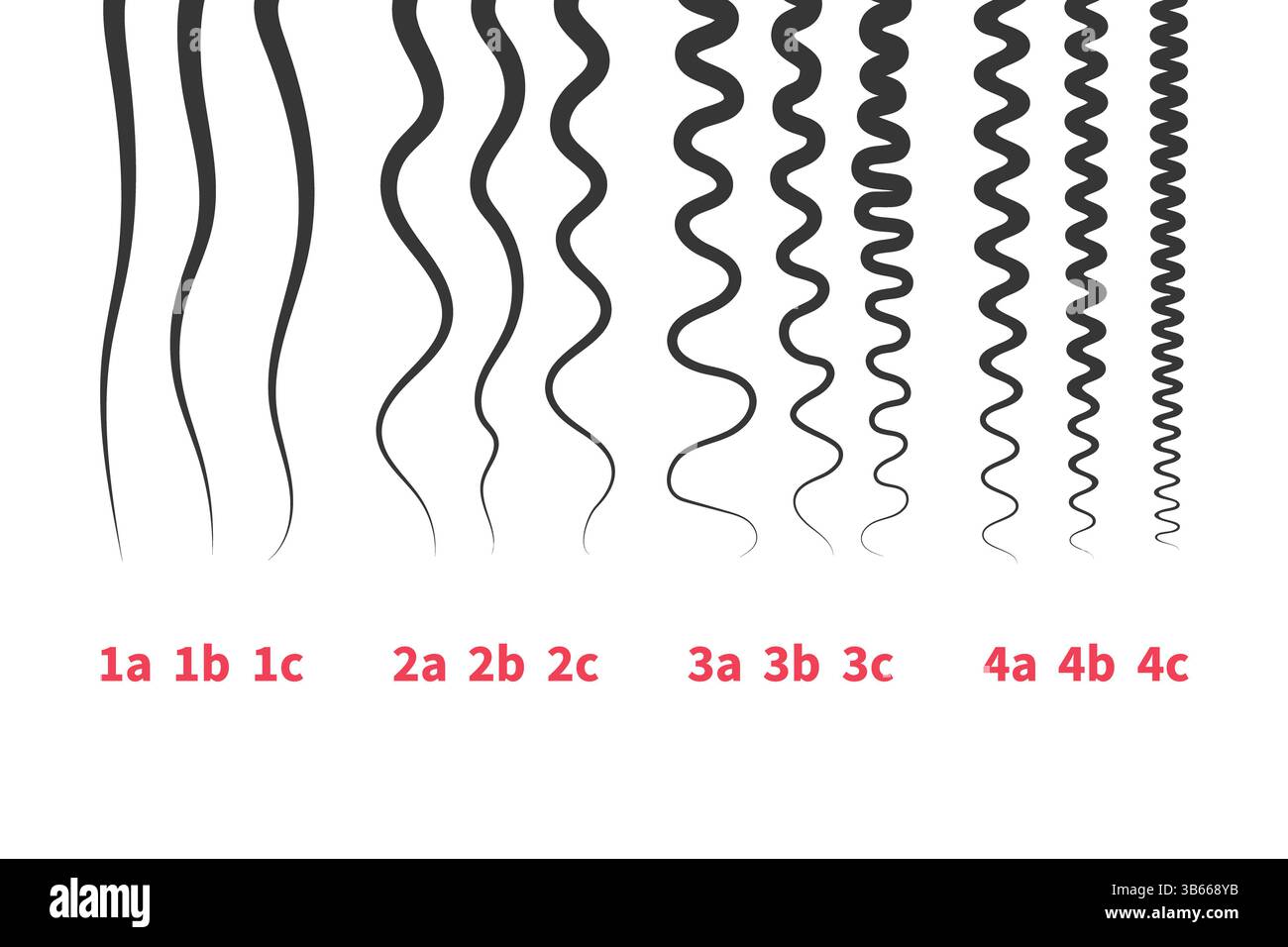 Hair types of straight, wavy, curly and kinky strands, illustration ...