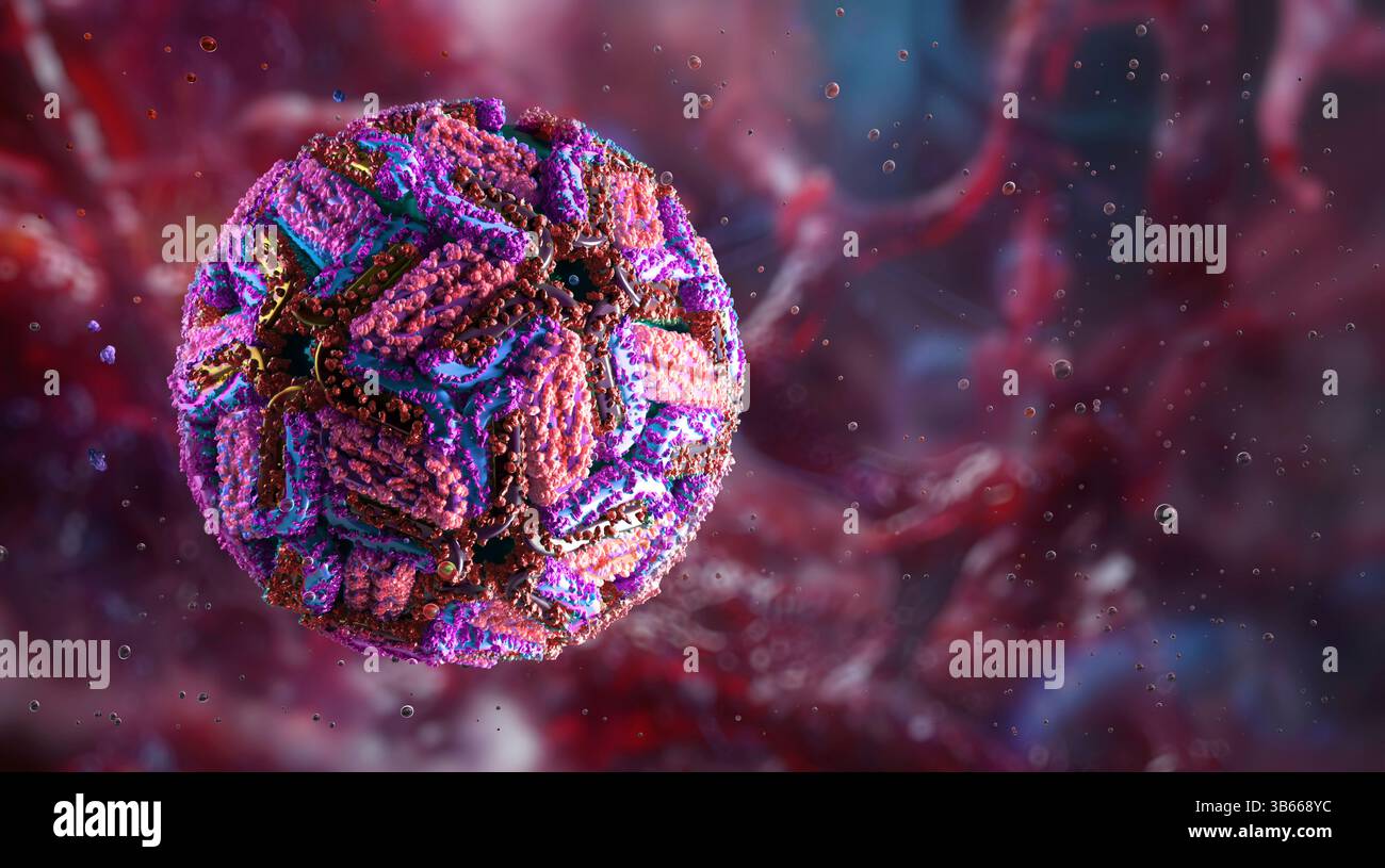 West Nile virus, illustration. This virus is transmitted to humans by ...