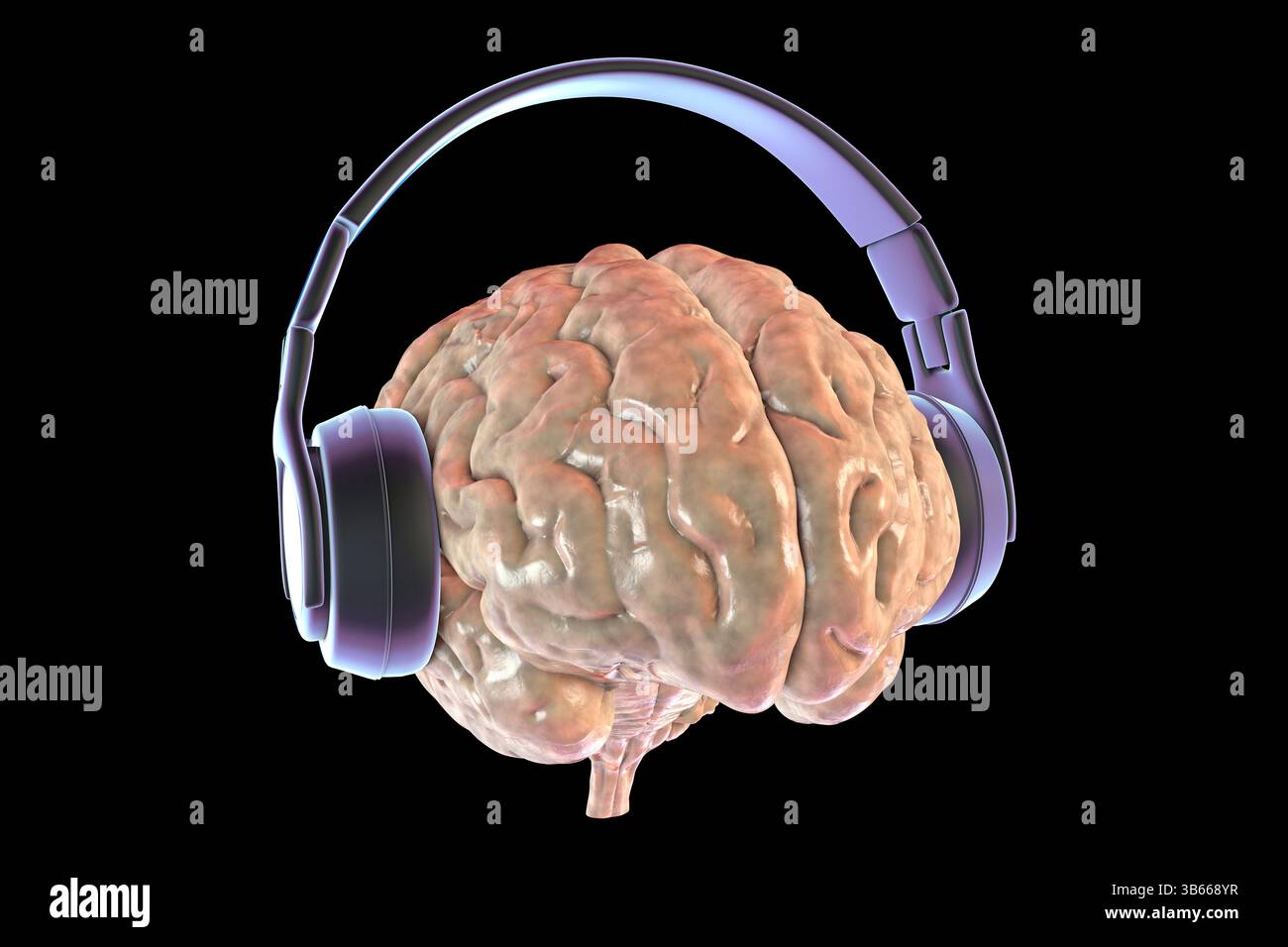Illustration of a human brain wearing headphones, symbolising music ...