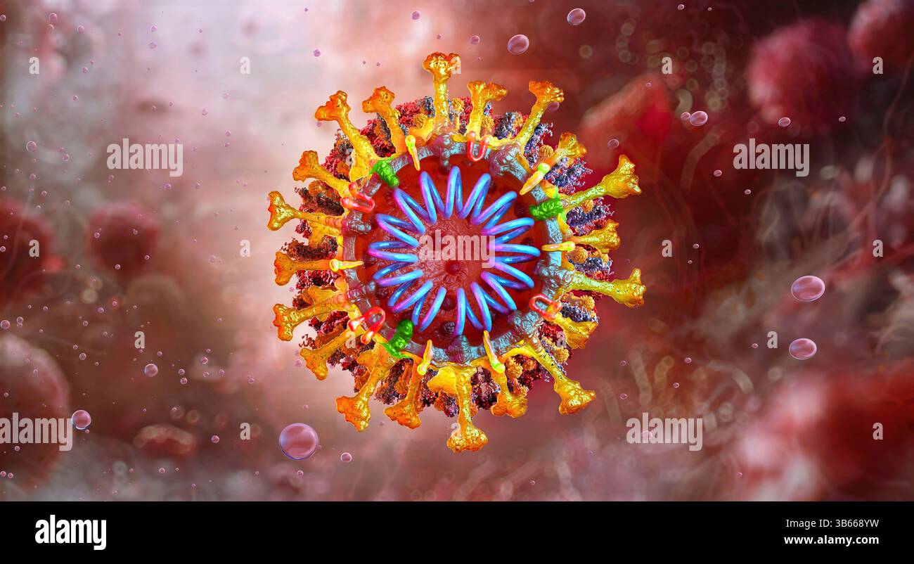 Illustration of the structure of an influenza virus, a member of the ...