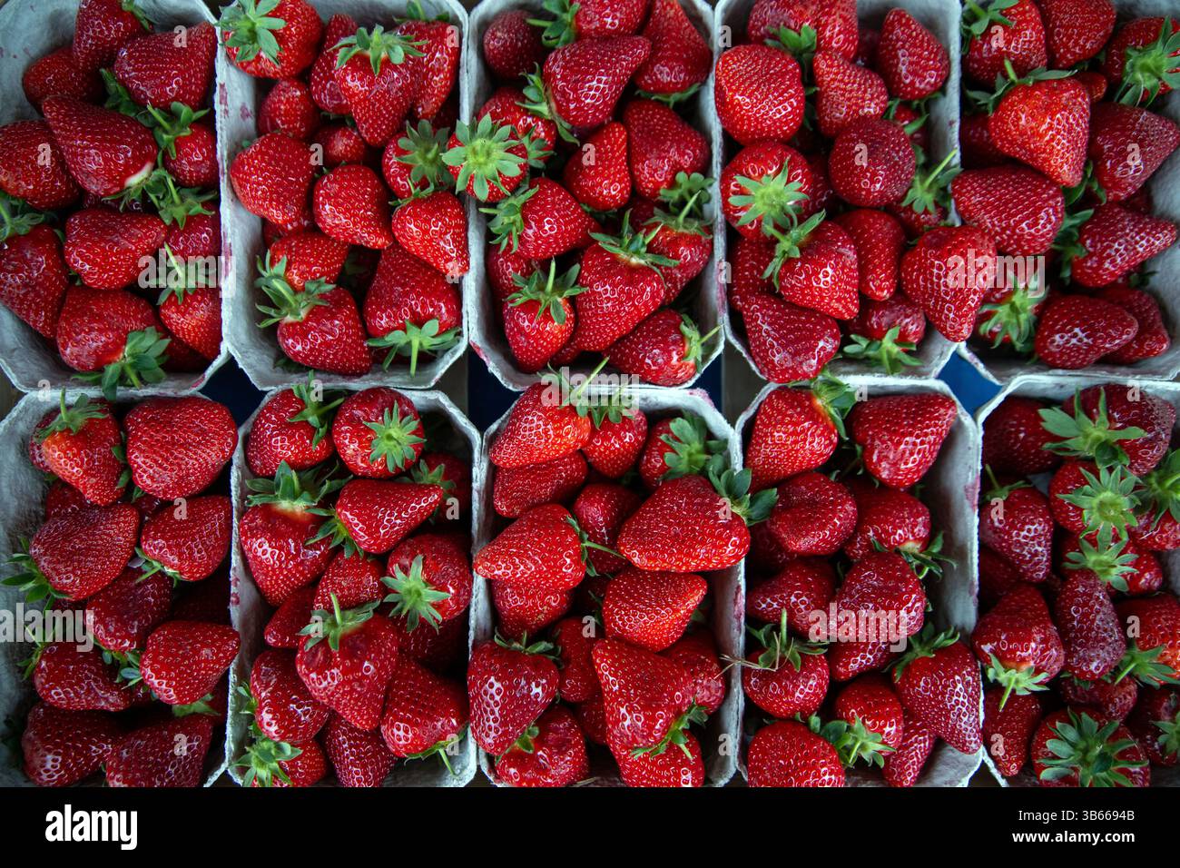 Frohnlach, Germany. 03rd May, 2025. Bowls of fresh strawberries are ...