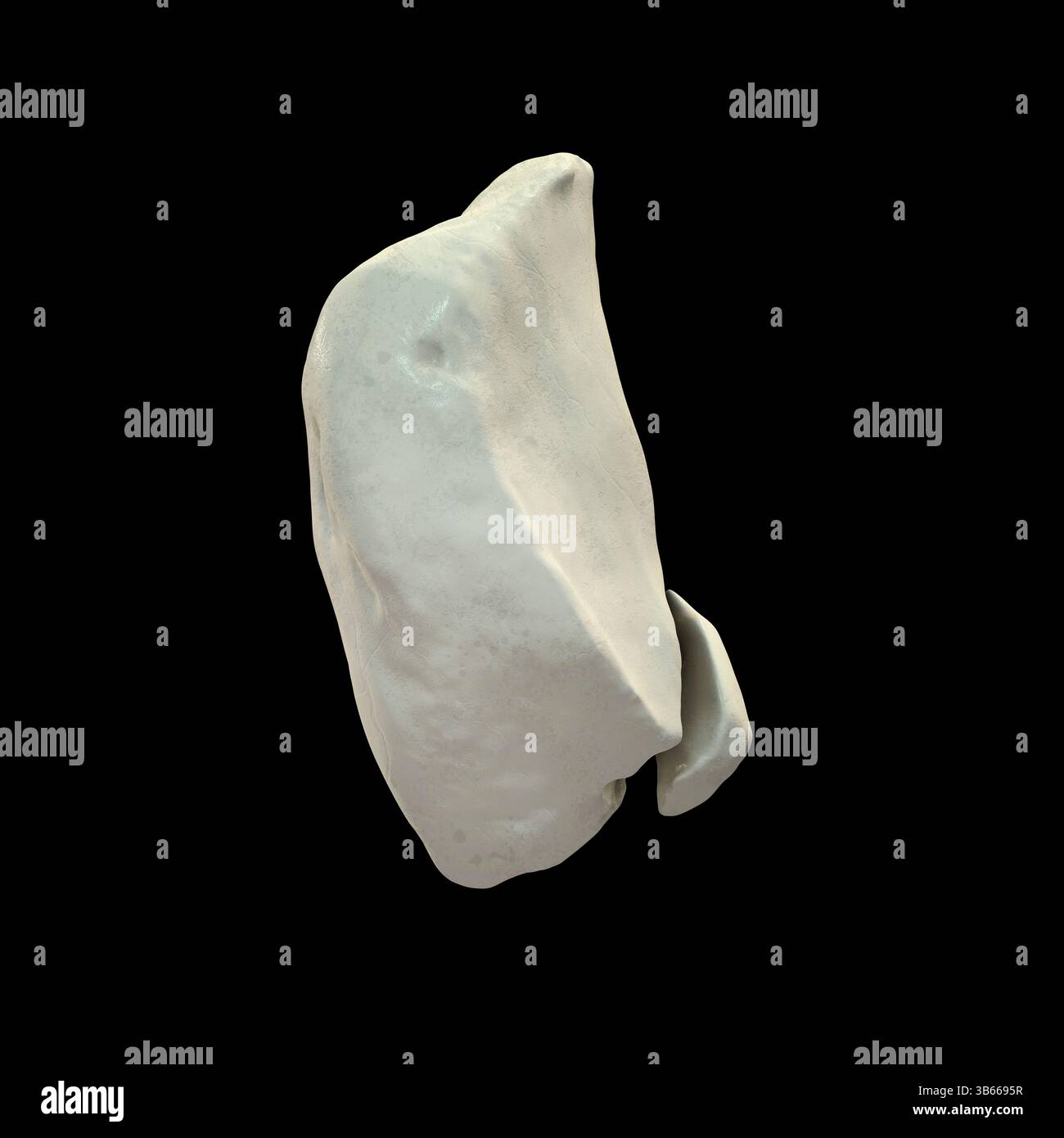 Patella osteochondral fracture hi-res stock photography and images - Alamy