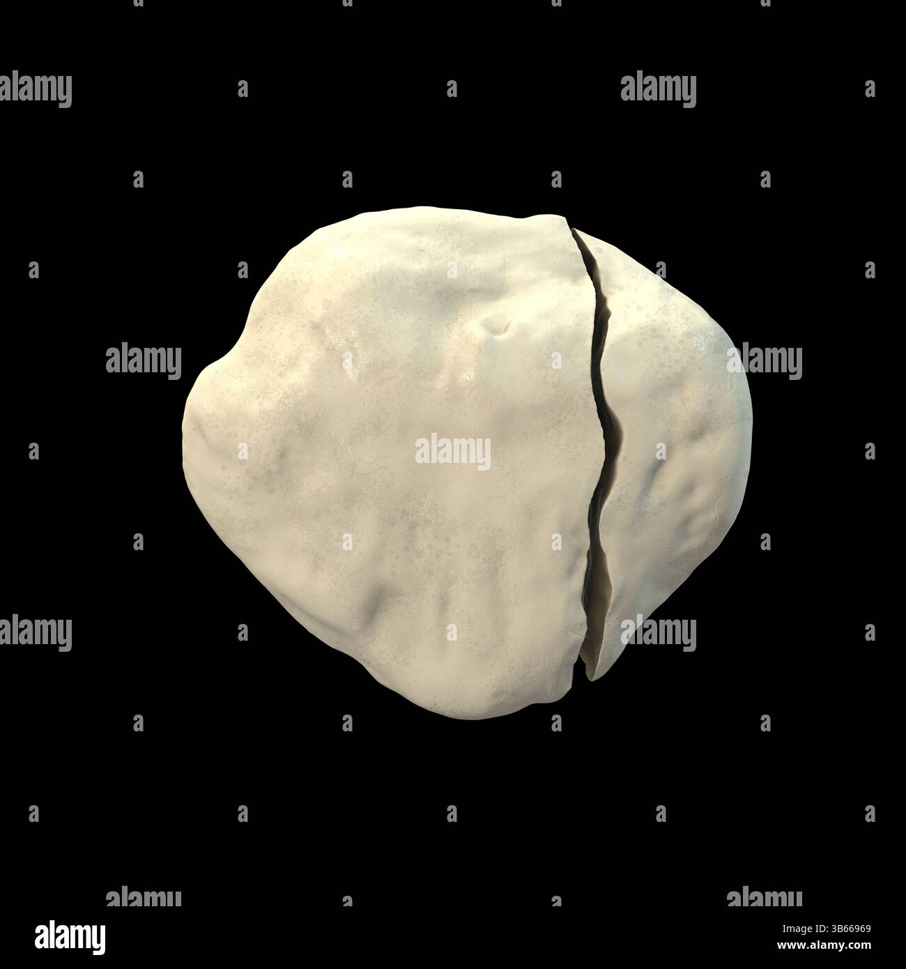 Patella vertical fracture hi-res stock photography and images - Alamy