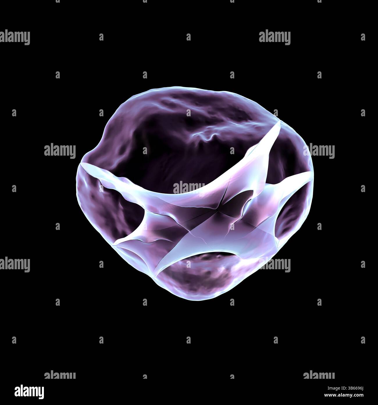 Patella multifragmented undisplaced fracture hi-res stock photography and images - Alamy