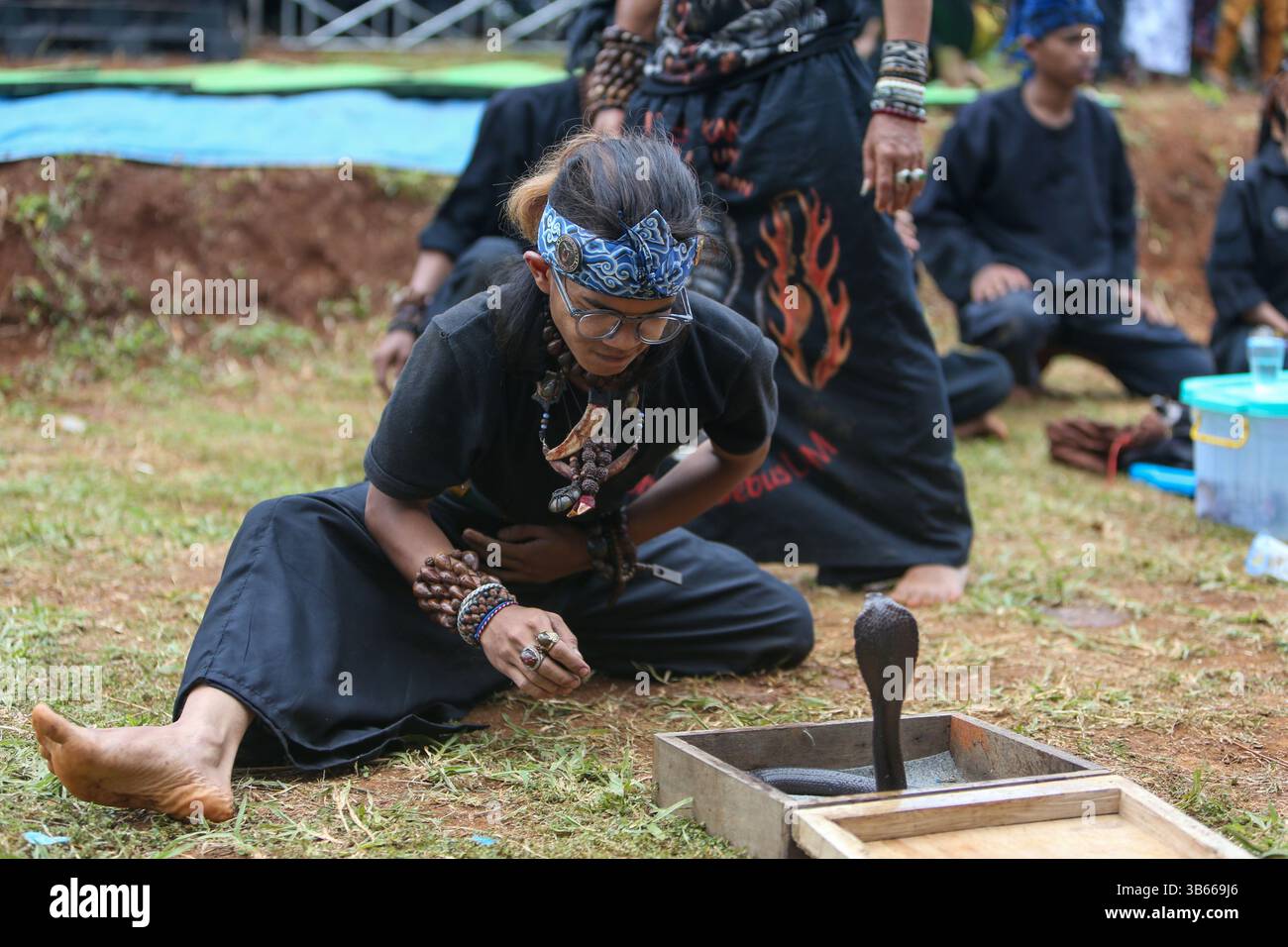 Snakes of java hi-res stock photography and images - Alamy