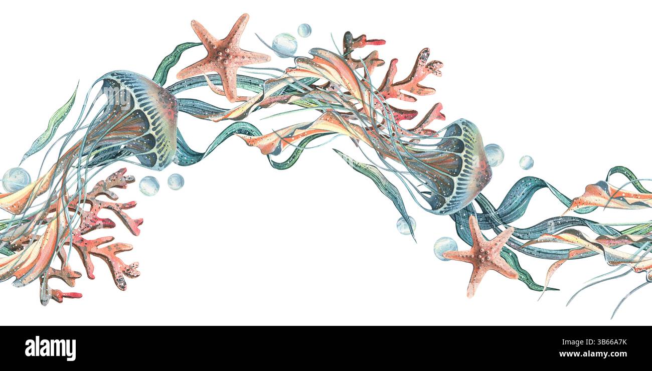 Jellyfish, seashells, seaweed, starfish, corals, sea sponges and ...