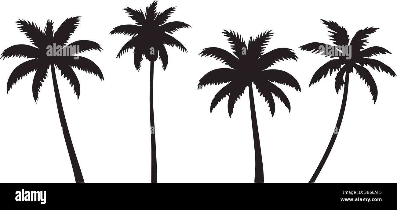 Palm Tree Silhouettes – Black and White Minimalist Vector Illustration ...