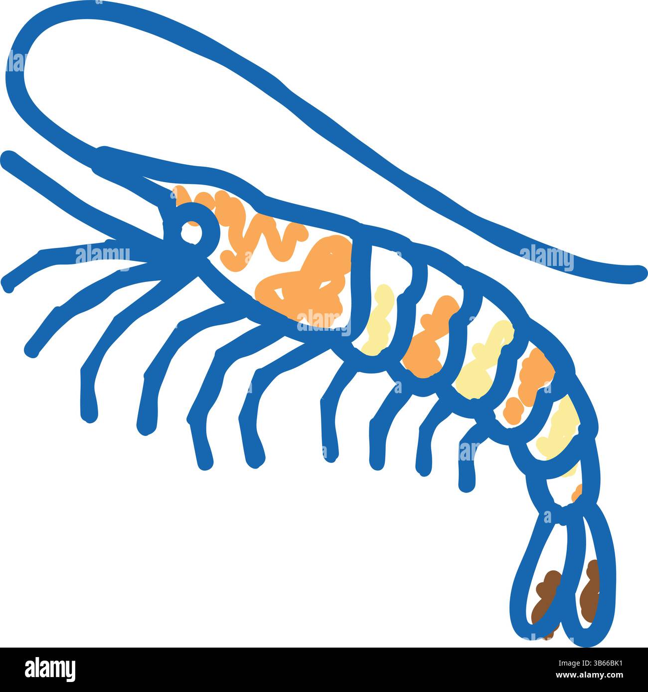 white leg shrimp icon doodle illustration Stock Vector Image & Art - Alamy