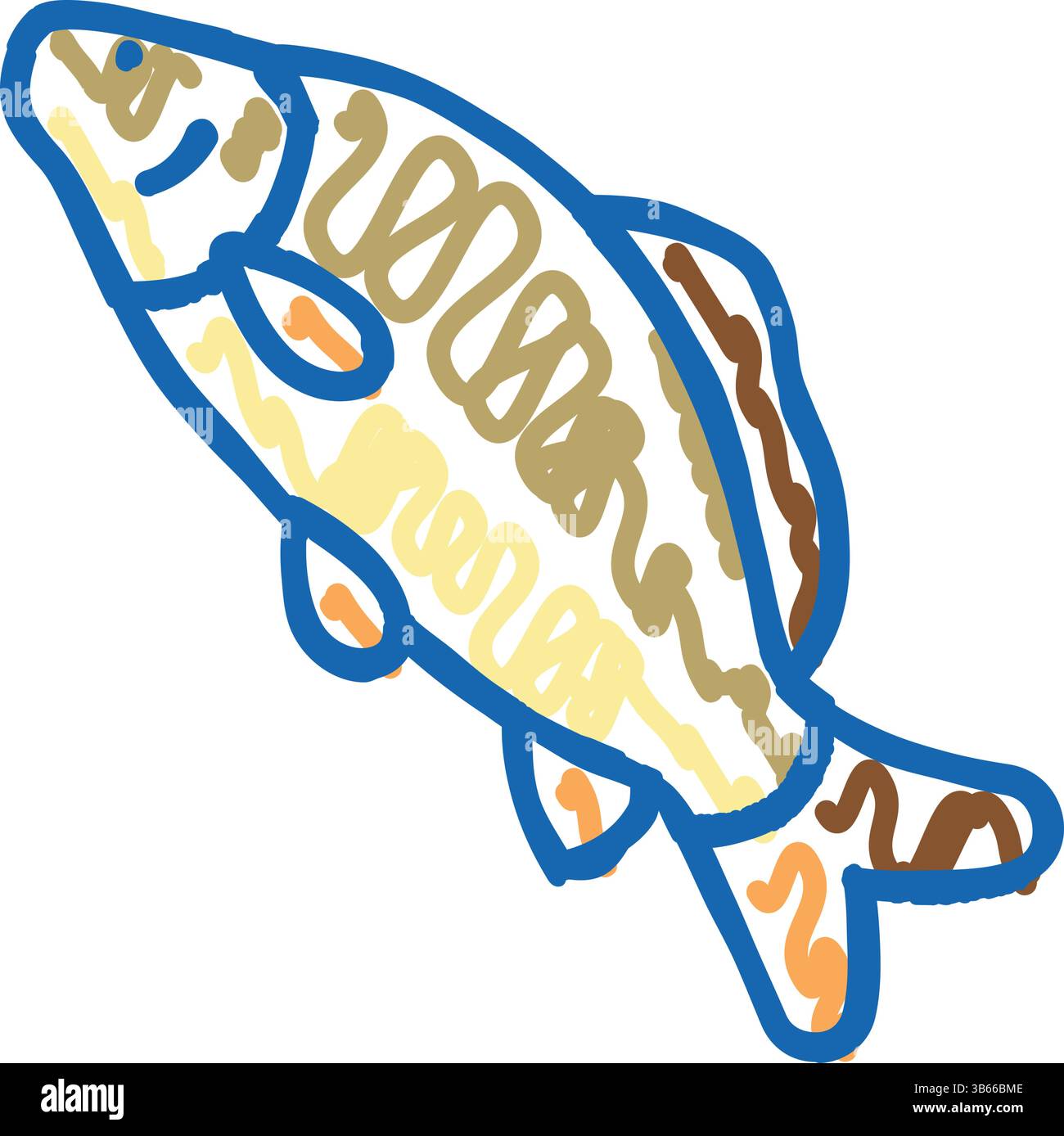 common carp icon doodle illustration Stock Vector Image & Art - Alamy