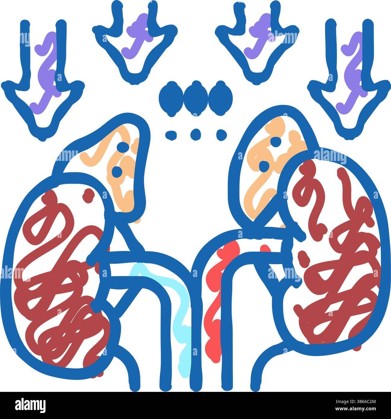 adrenal insufficiency endocrinology icon doodle illustration Stock ...