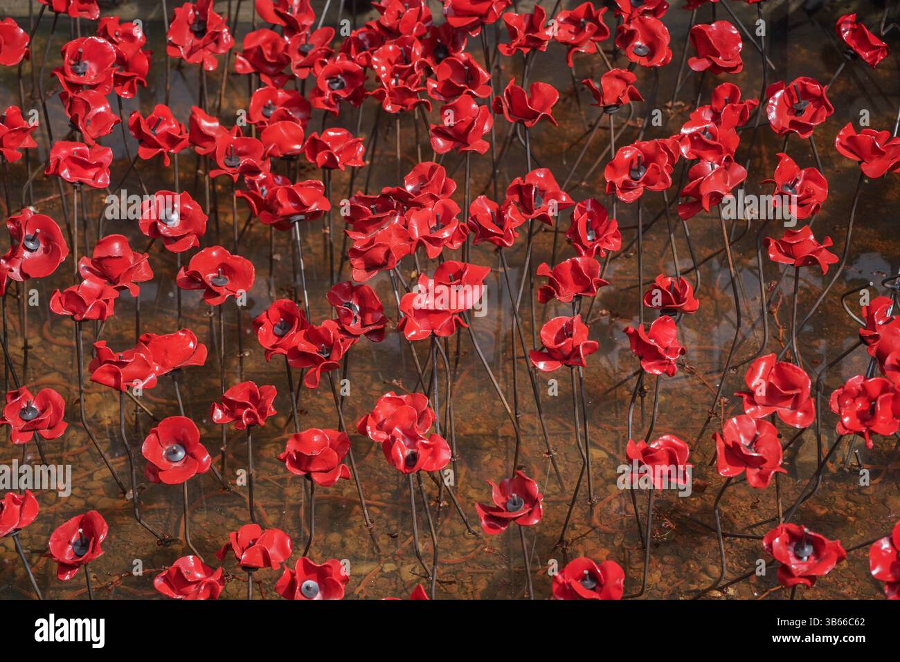London UK 3 May 2025. An installation of thousands of ceramic poppies ...