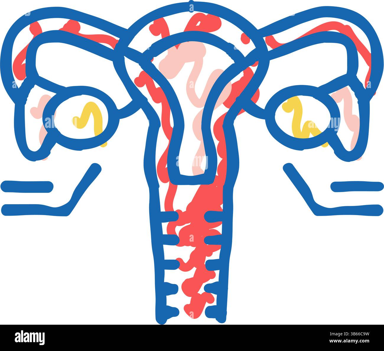 Multiple ovaries Cut Out Stock Images & Pictures - Alamy