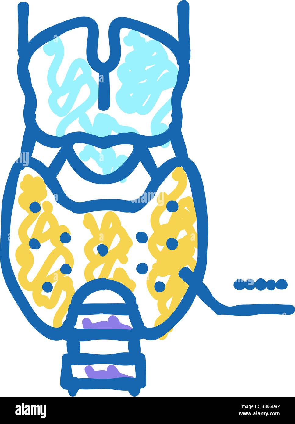 thyroid gland endocrinology icon doodle illustration Stock Vector Image ...
