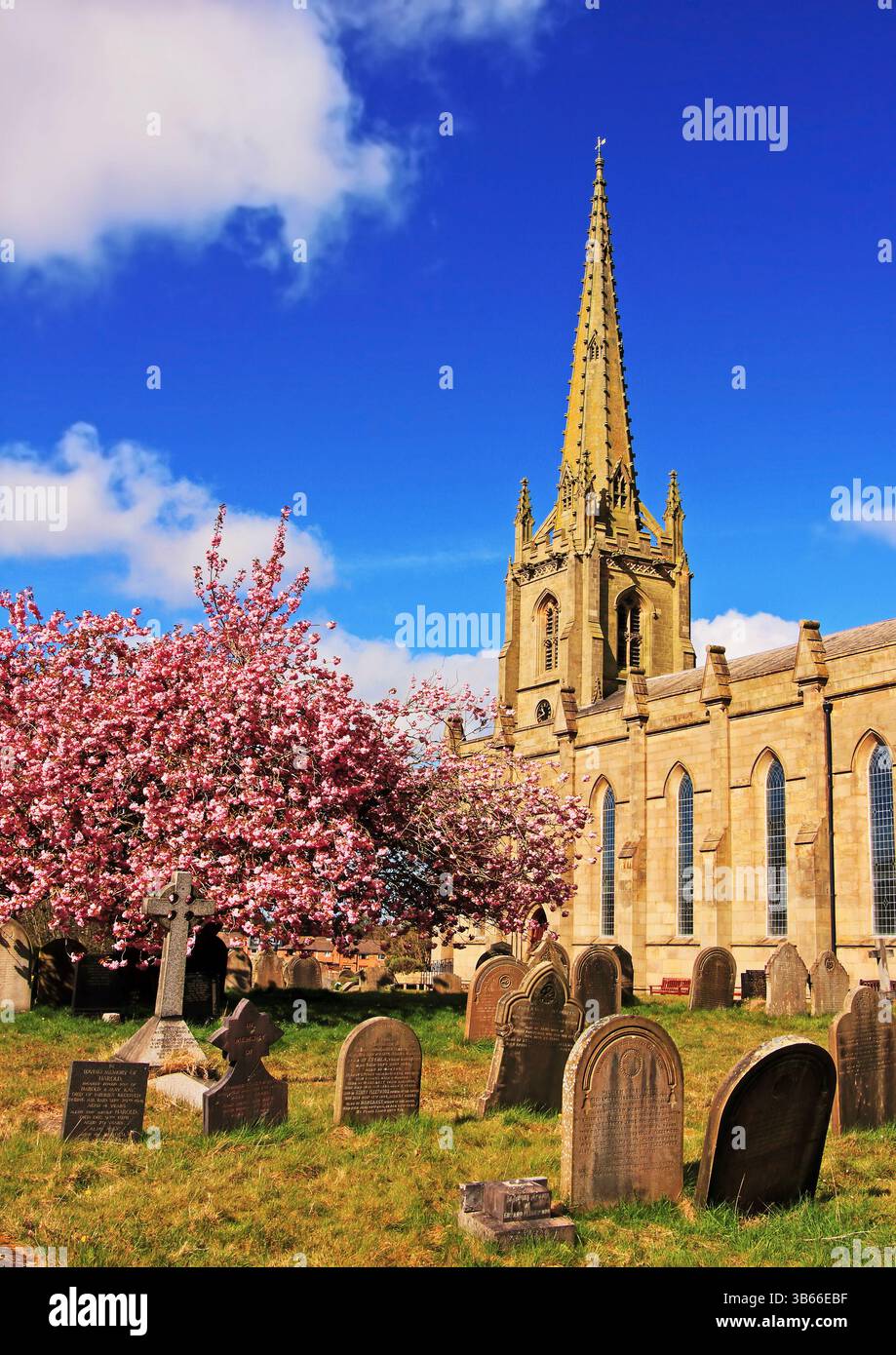 Blossom in the churchyard #2 Stock Photo - Alamy