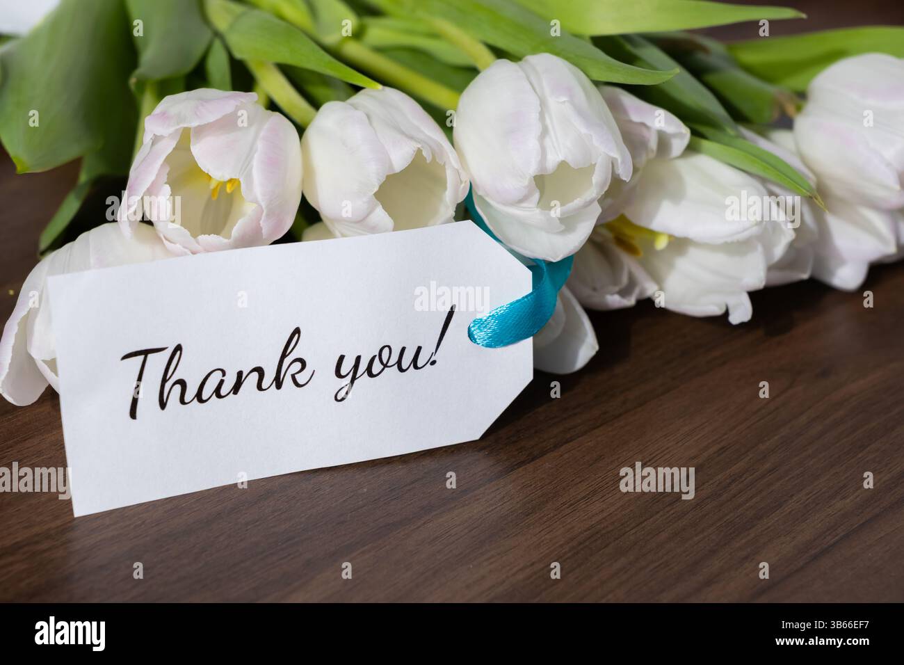 White gift tag with Thank you message and blue ribbon attached to white ...