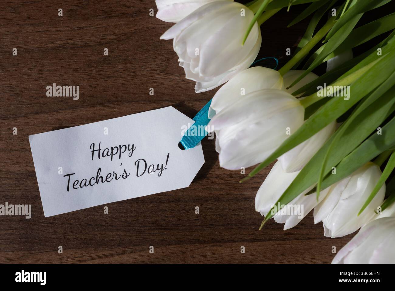 Appreciation for educators hi-res stock photography and images - Alamy