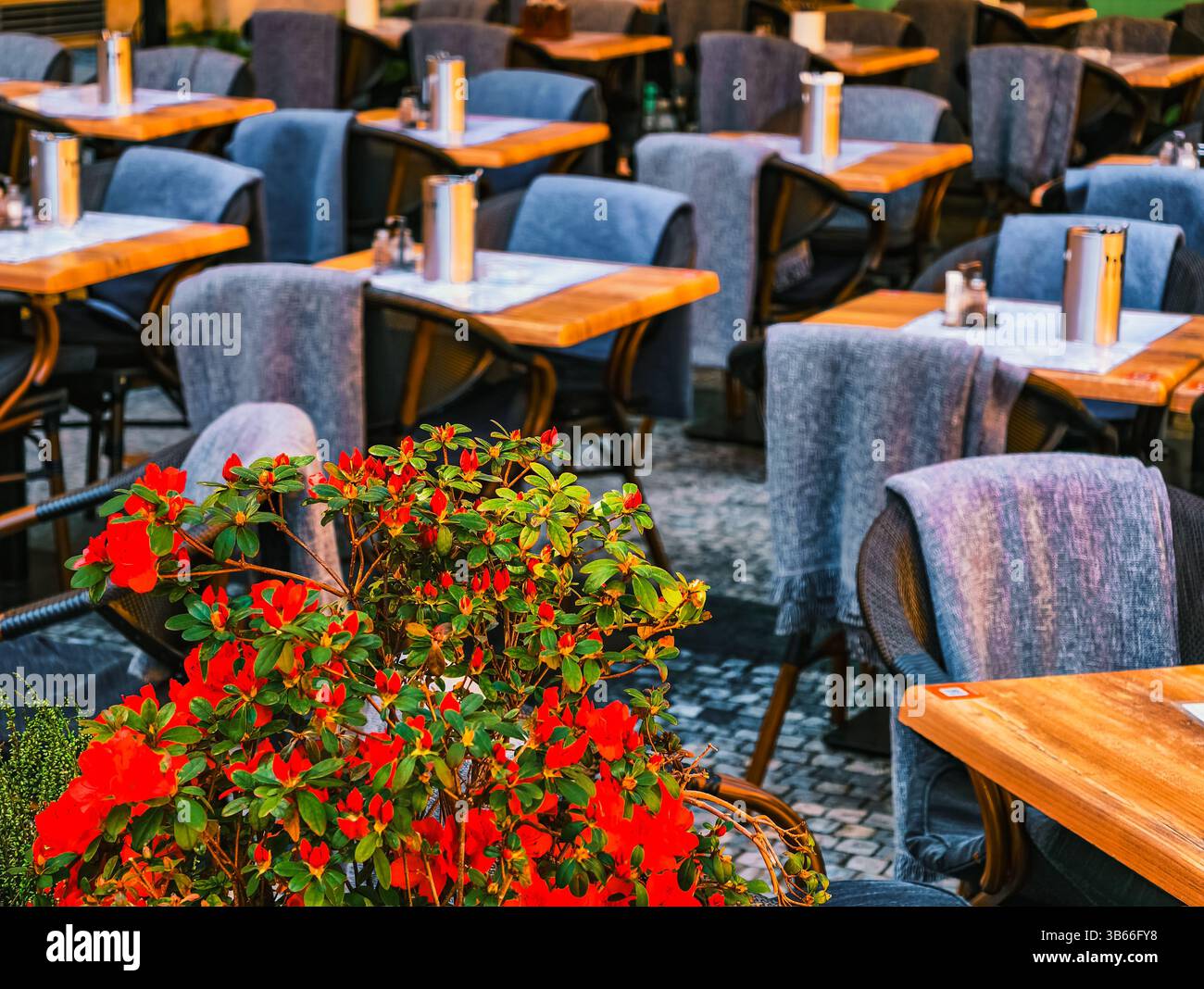 Social dining space hi-res stock photography and images - Alamy