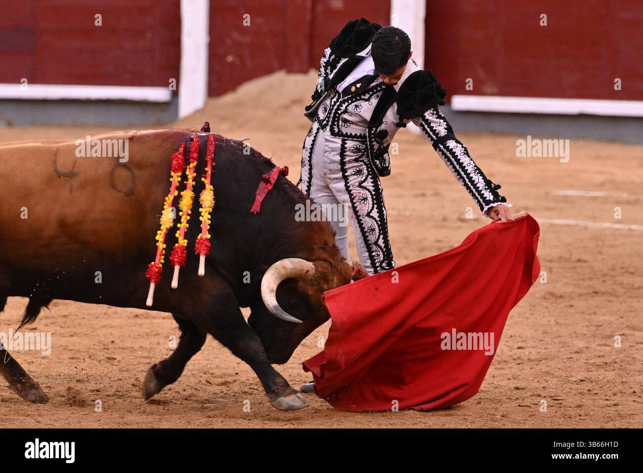 Madrid, Madrid, Spain. 2nd May, 2025. The bullfighter, DIEGO GARCIA ...