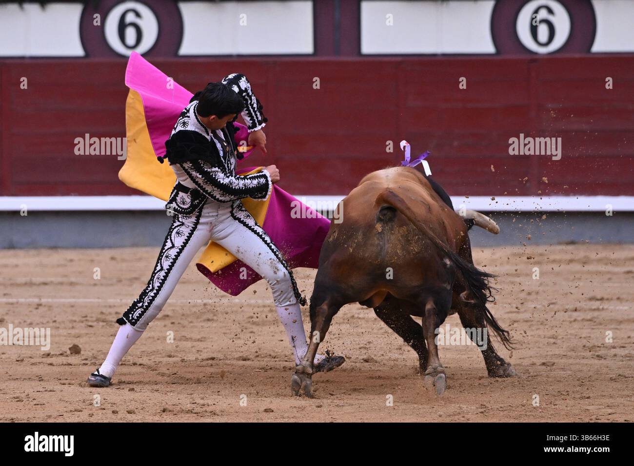 Madrid, Madrid, Spain. 2nd May, 2025. The bullfighter, DIEGO GARCIA ...