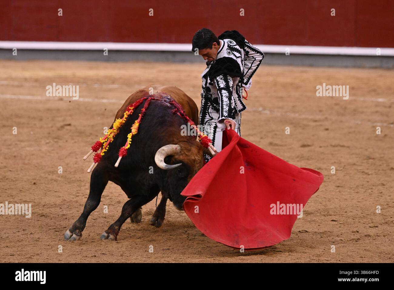 Madrid, Madrid, Spain. 2nd May, 2025. The bullfighter, DIEGO GARCIA ...