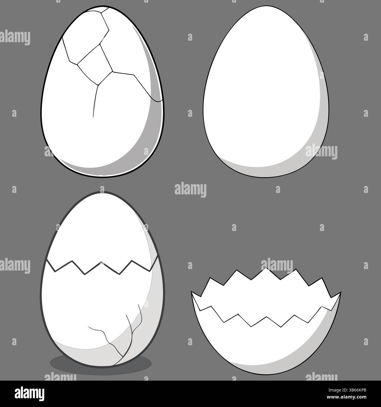 Illustration of Eggs in Different Stages of Hatching Stock Vector Image ...