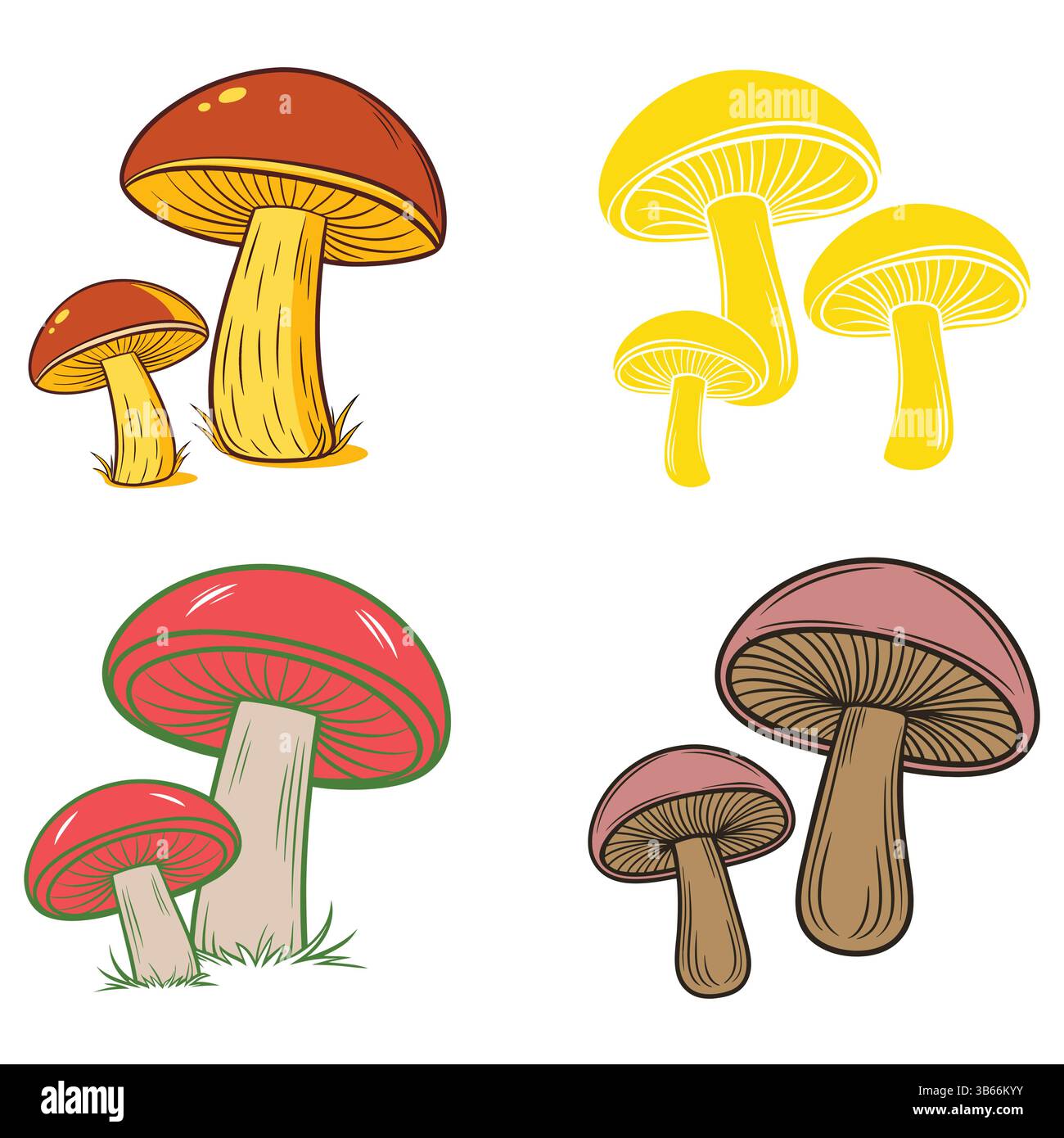 Botanical illustrations fungi Cut Out Stock Images & Pictures - Alamy
