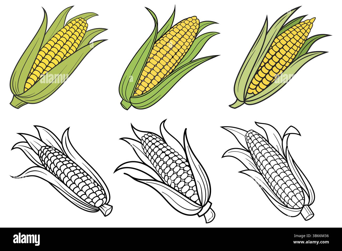 Colorful and Monochrome Corn Cob Illustrations for Coloring Books and ...