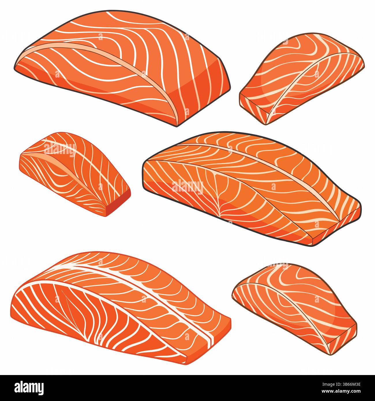 Fillet slices raw Stock Vector Images - Alamy