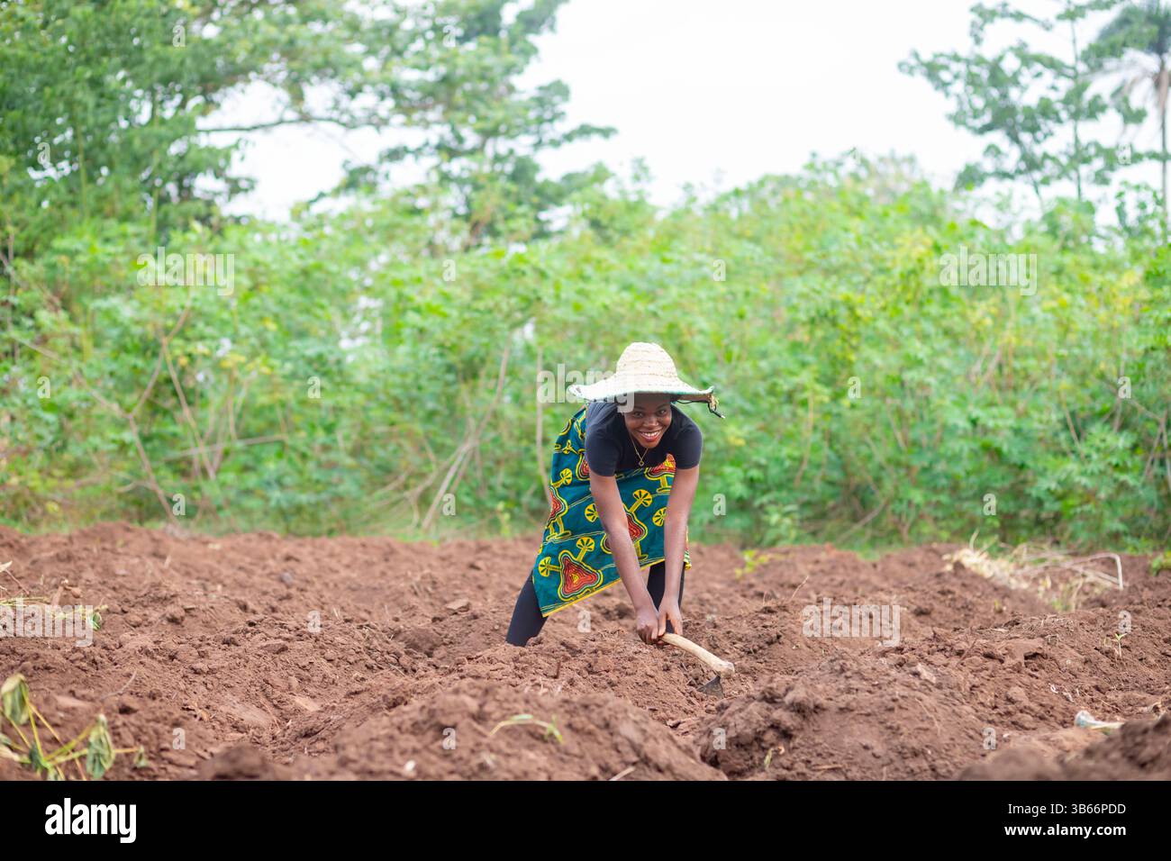 woman farmer working in a rural field, digging into the soil with a hoe ...