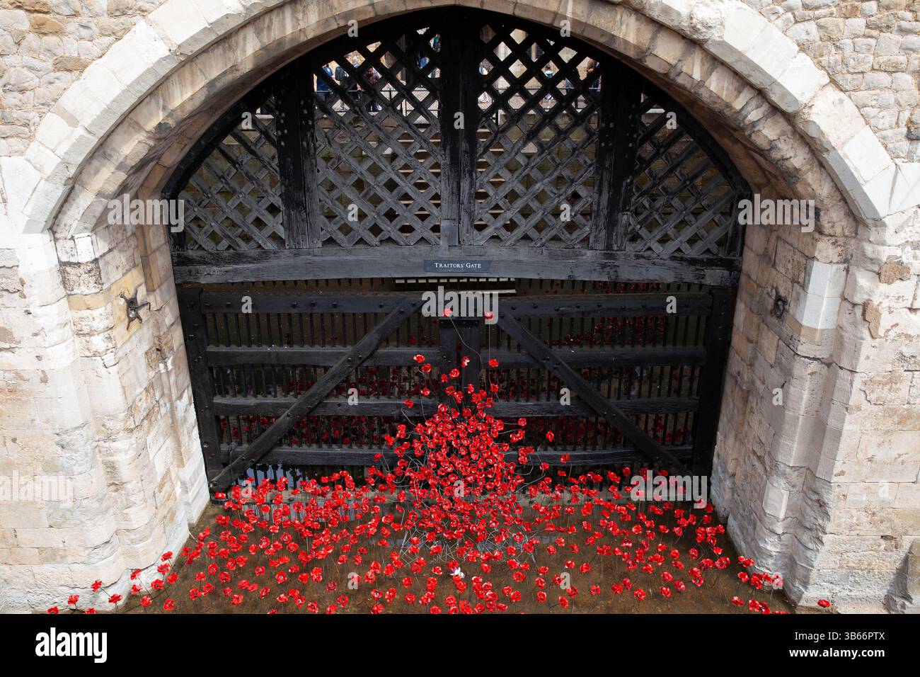 London, UK. 3rd May, 2025. An installation of ceramic poppies at the ...