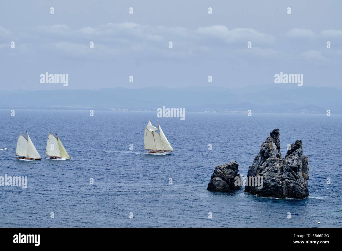 France, Var, Hyères, Hyères Islands, Port Cros National Park ...