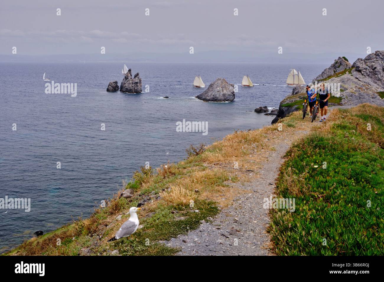 France, Var, Hyères, Hyères Islands, Port Cros National Park ...