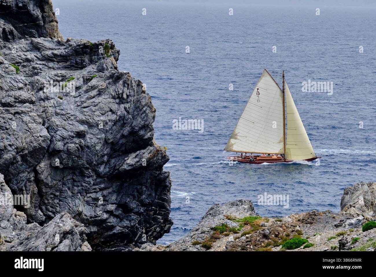 France, Var, Hyères, Hyères Islands, Port Cros National Park ...