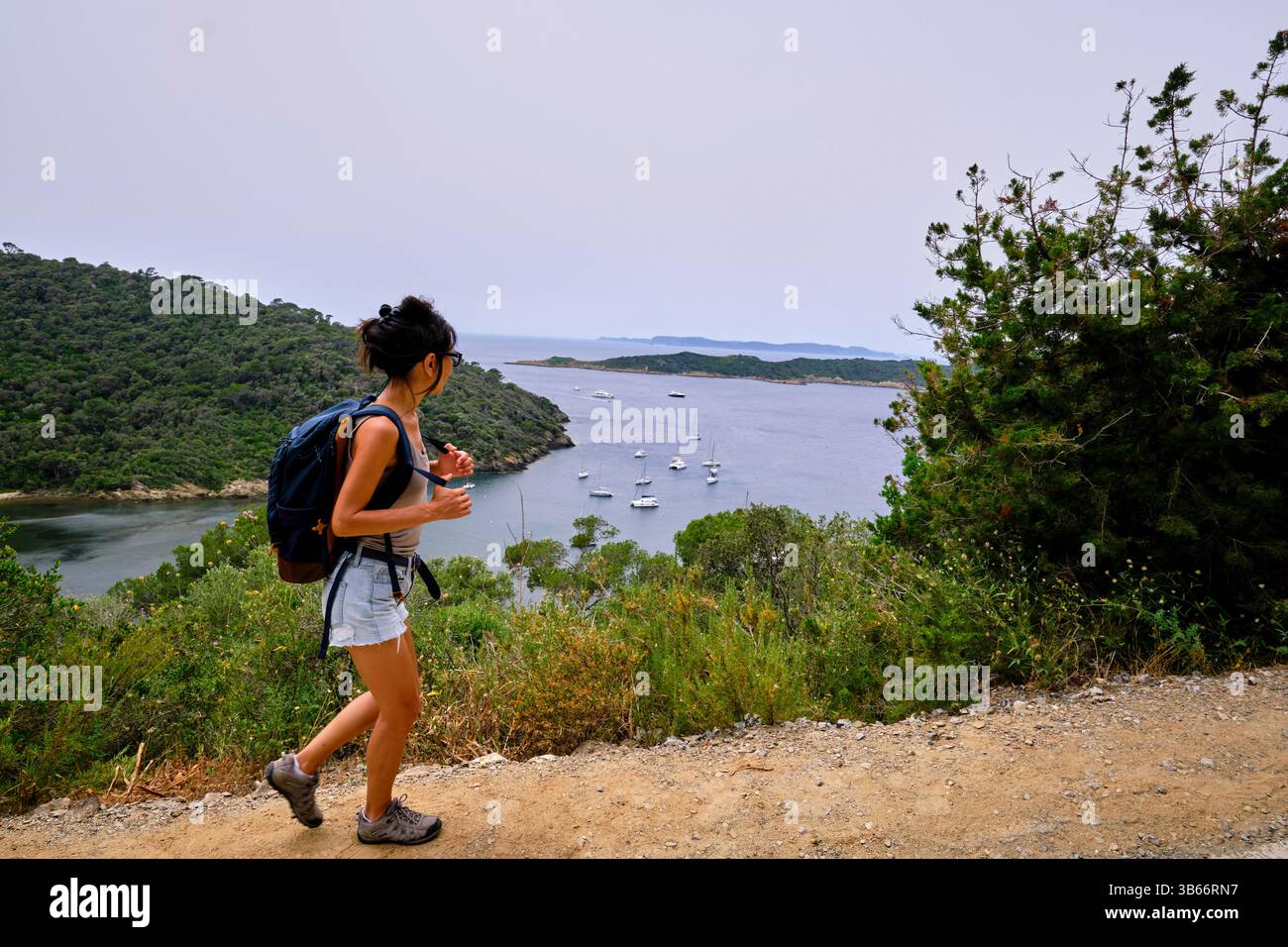 France, Var, Hyères, Hyères Islands, Port Cros National Park, Port Cros ...