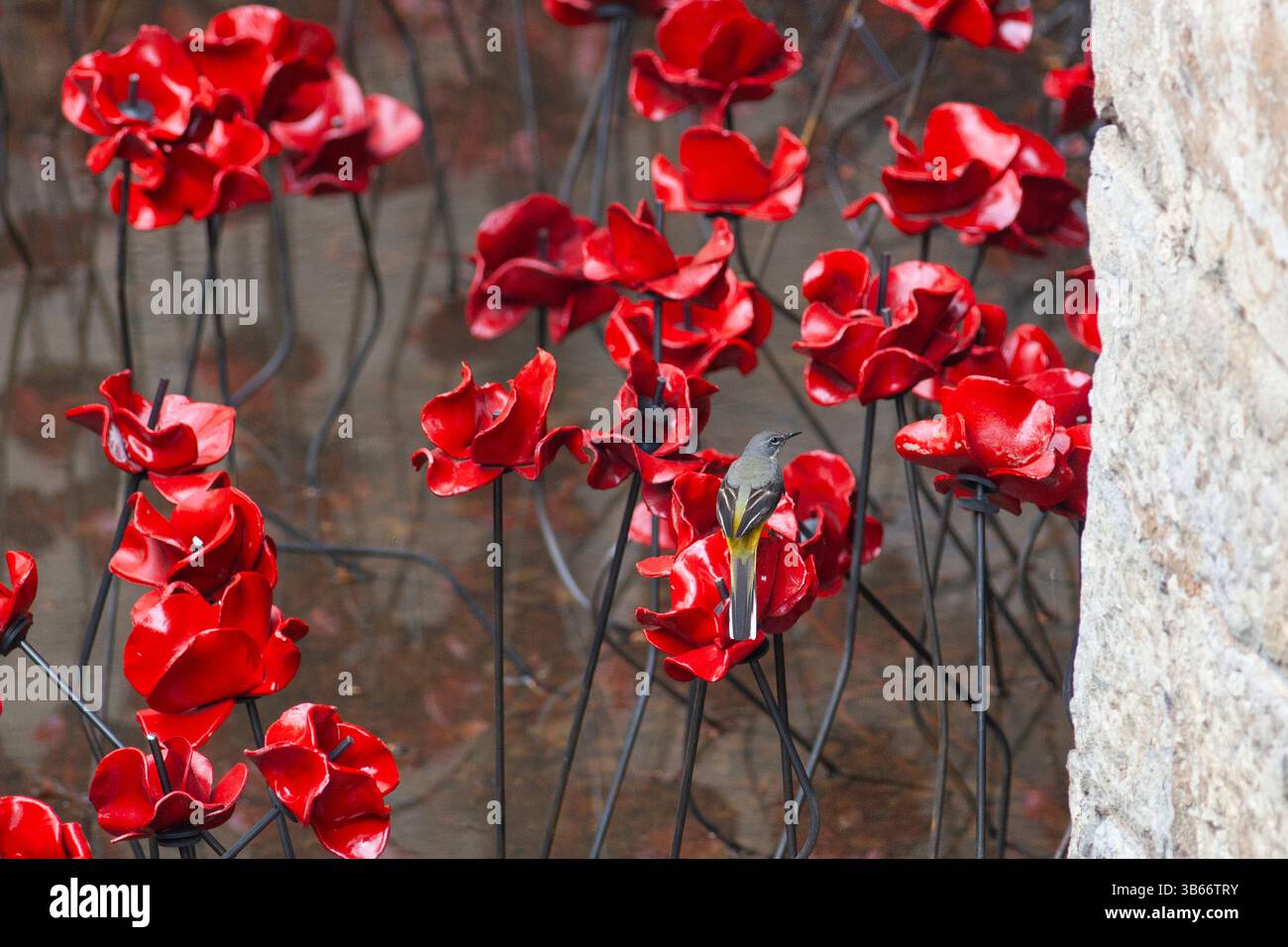 Ve day 2025 hi-res stock photography and images - Alamy