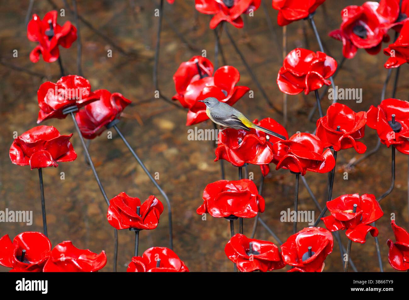 Ve day 2025 hi-res stock photography and images - Alamy